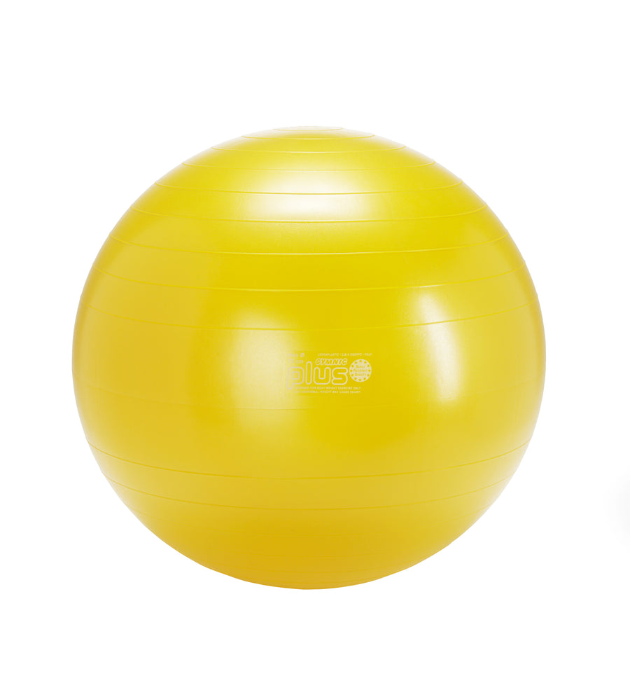 Gymnic Plus BRQ Physiotherapy Balls – KETTLER USA