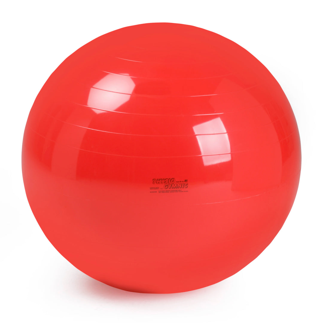 Physio Gymnic Balls – KETTLER USA