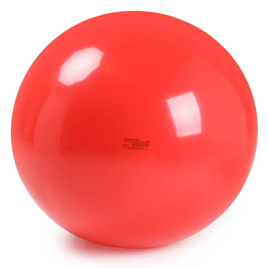 Physio Gymnic Balls – KETTLER USA
